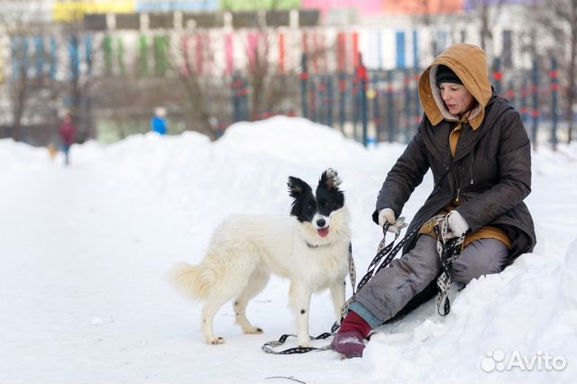Кира ищет дом