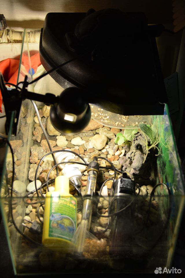 Аквариум Черепашник с берегом 40л комплект