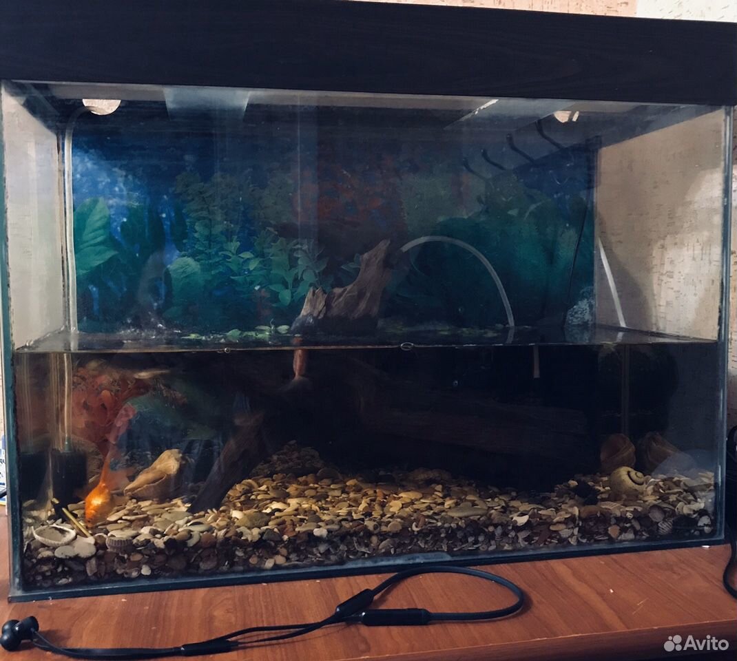 Аквариум 100 литров