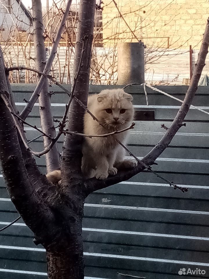 Помогите найти