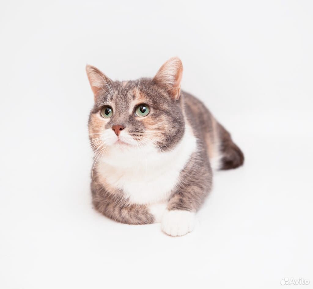 Анфиса ждёт своего человека