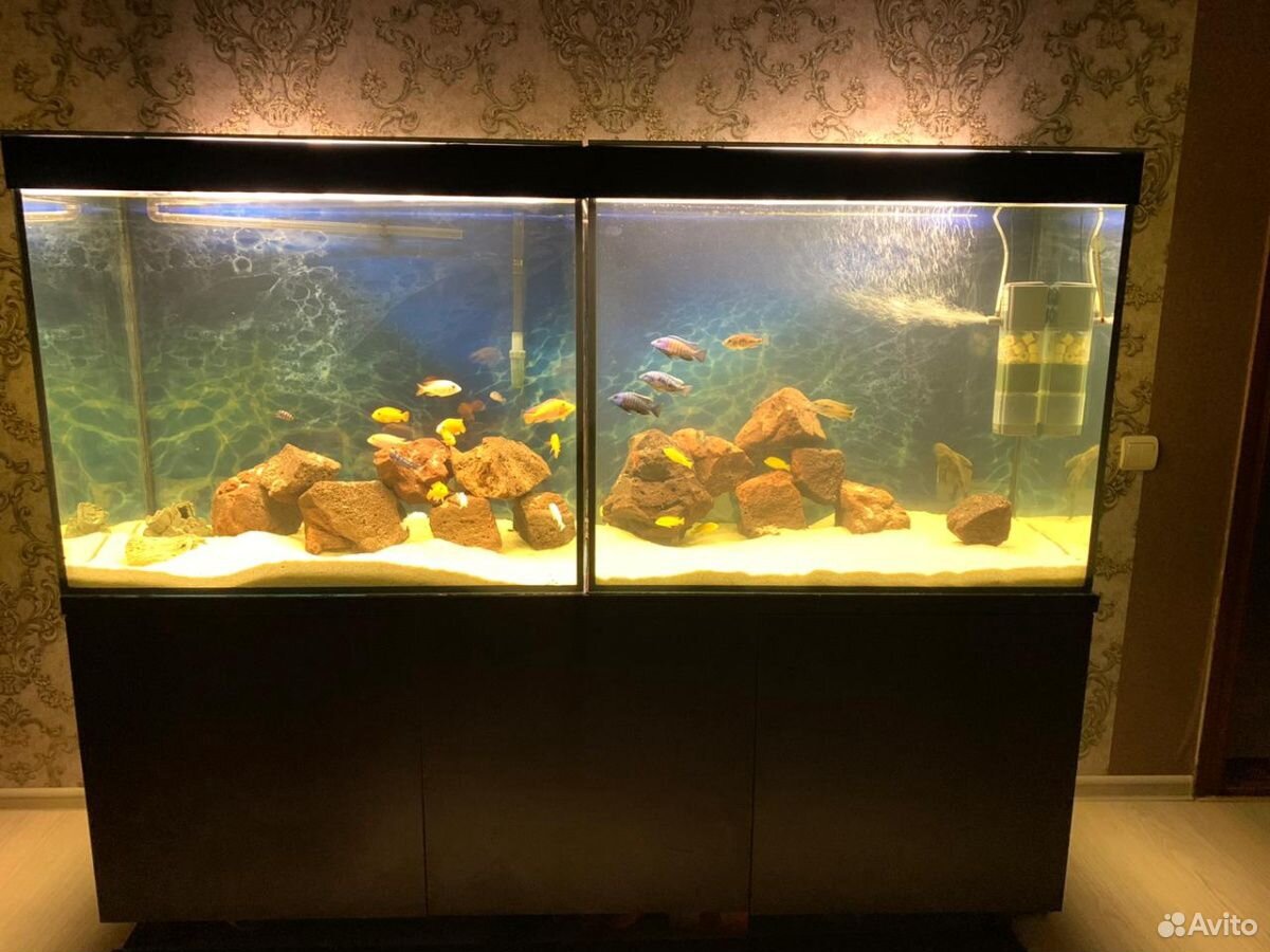 Аквариум