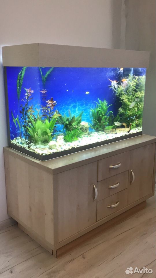 Аквариум 240 л с тумбой