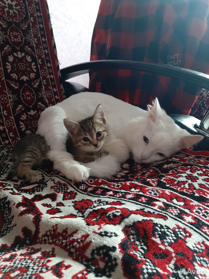 Комочек счастья)