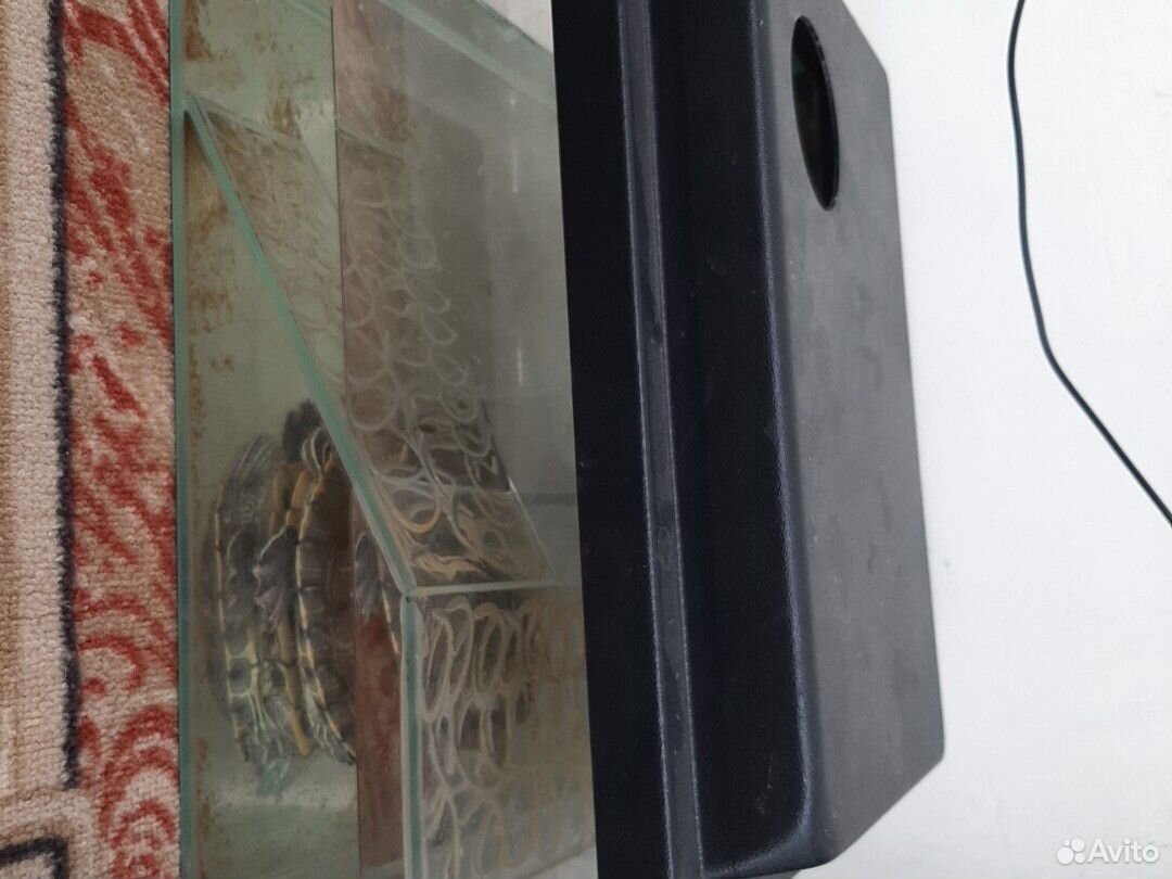 Морская черепаха