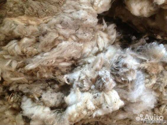 Овечья шерсть