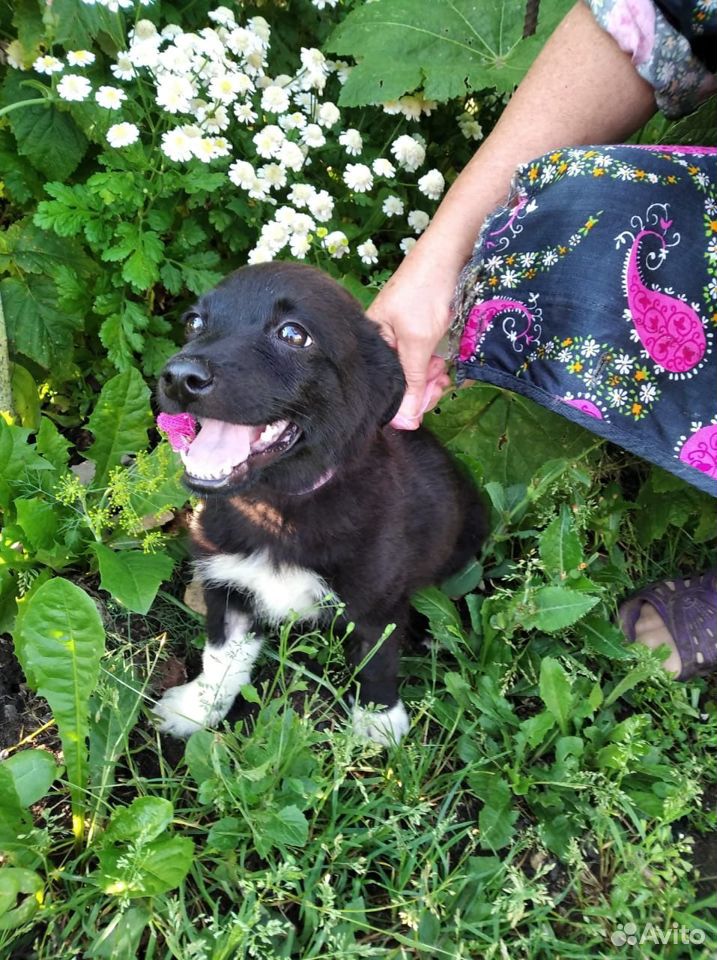 Девочка маленькой породы