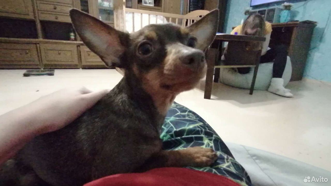 Невеста ищет жениха