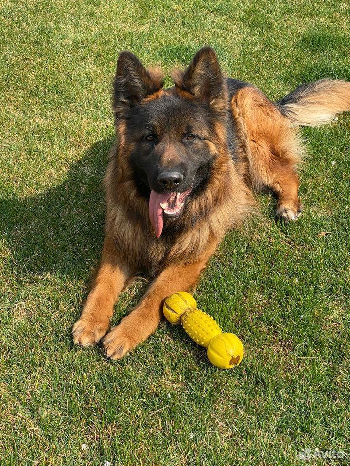 Красивый парень ищет подругу