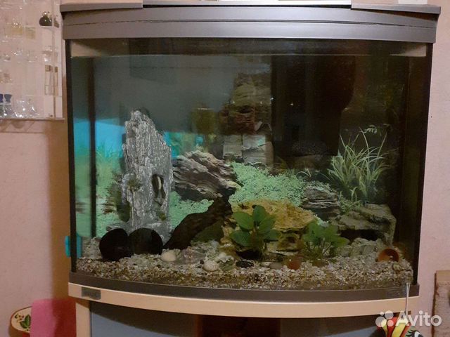 Аквариум с тумбой 130 литров