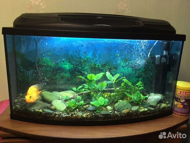 Аквариум