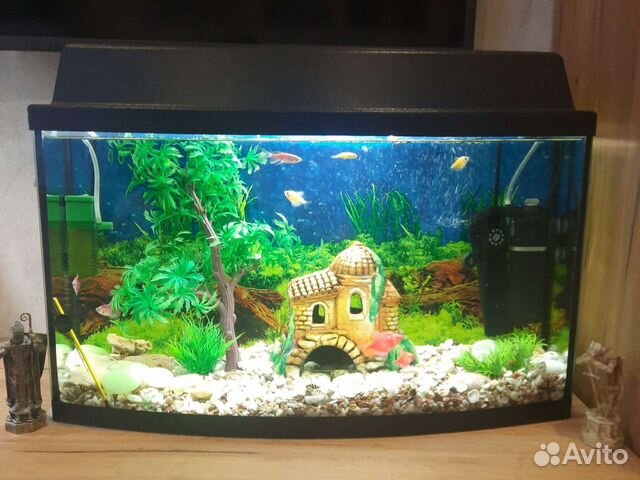 Аквариум 45лит. вместе с рыбками