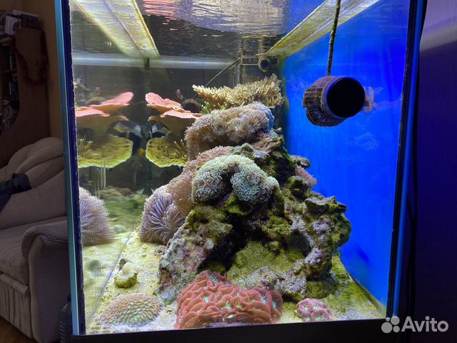 Морской аквариум