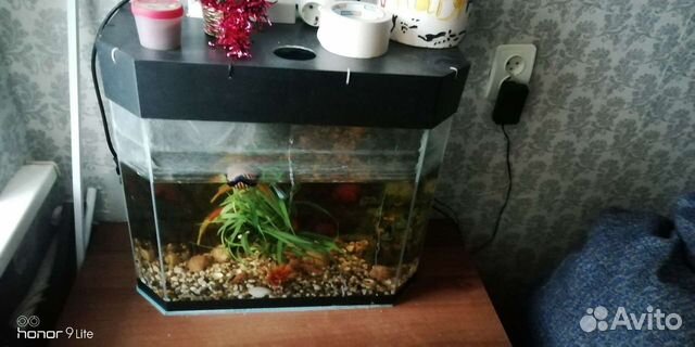 Аквариум