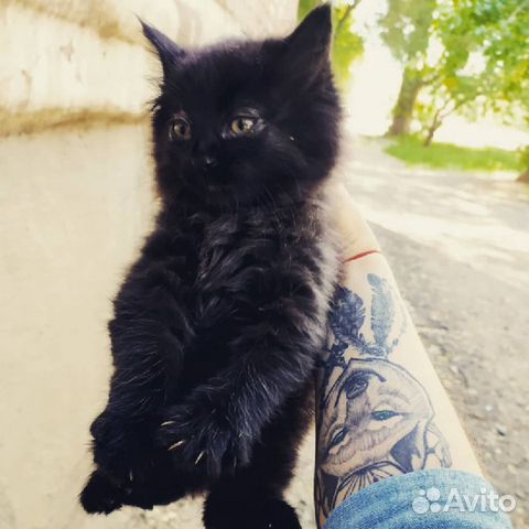 Девочка 2 месяца, нужна семья