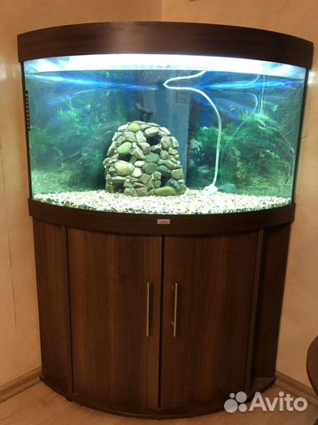 Аквариум угловой Juwel 190 + всё (all inclusive) 2