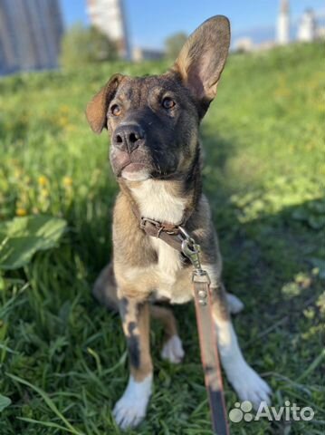 Открытая душа и любящее сердце