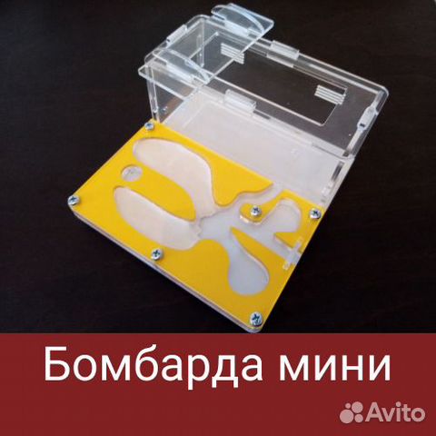 Муравьиная ферма. Формикарий