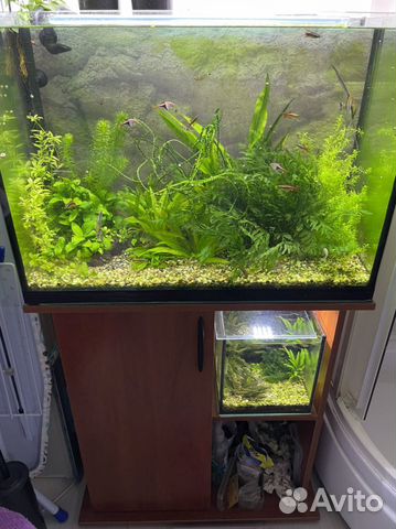 Аквариум с тумбой 100 литров