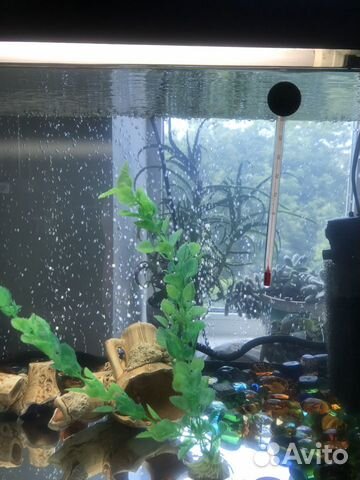 Аквариум итальянский с тумбой 80 литров, все обору