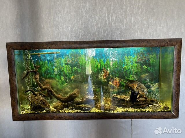 Аквариум 390л, с тумбой и фильмром