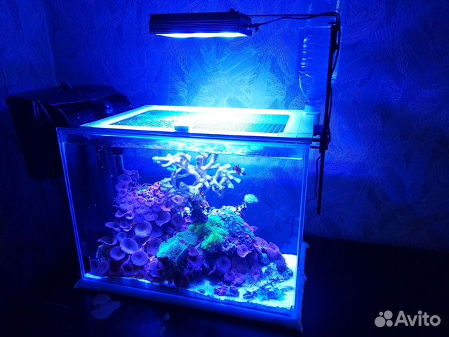 Mорской аквариум 40л