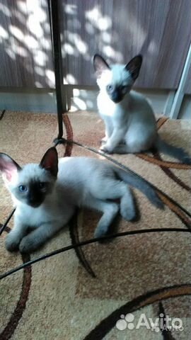 Тайские малыши