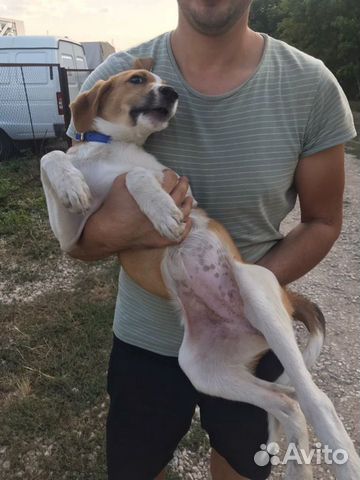 Эта прелесть в поисках семьи