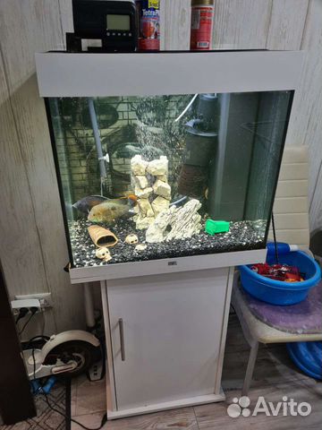 Аквариум Juwel 120 с оборудованием и рыбками