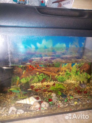 Аквариум