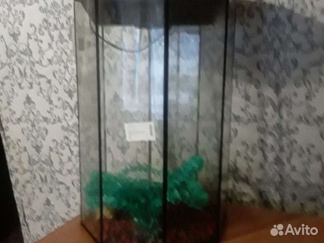 Аквариум новый