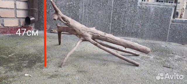 Коряга в аквариум