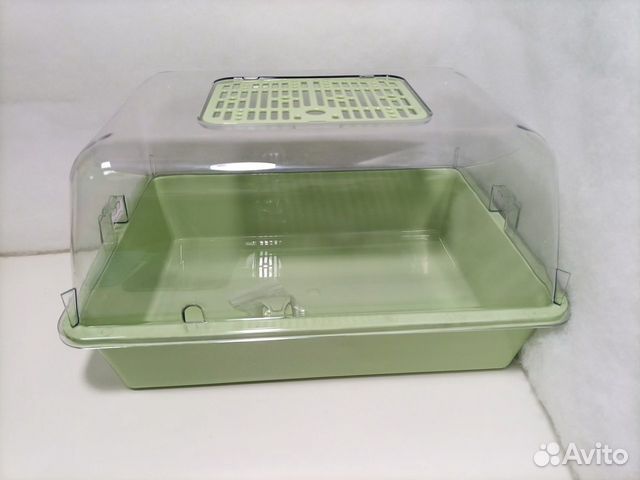 Террариум с взрослыми улитками