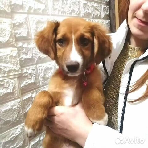 Малышка, 3,5 мес., ищет семью