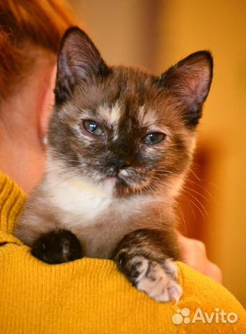 Малышка Капучинка