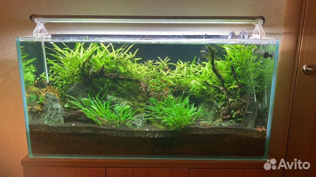 Светильник Ista LED для аквариума, 90 см ширина