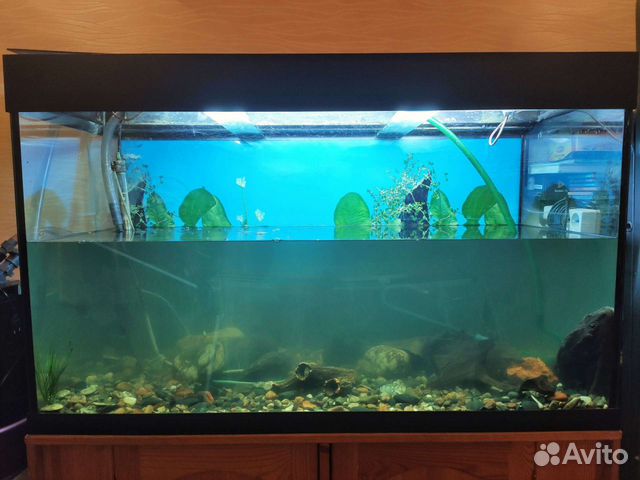 Аквариум
