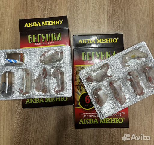 Мыши кормовые бегунки