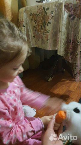 Продаю декаротивных зайчат серенький и черненький