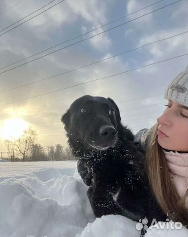 Забери Герду из приюта