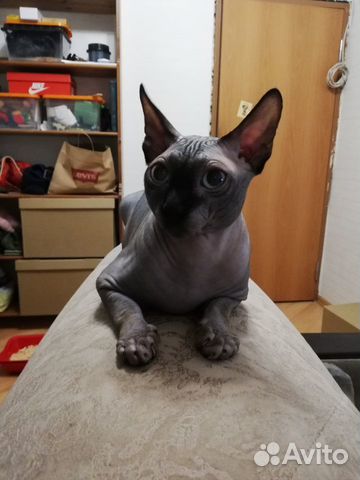 Котик для вязки
