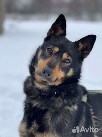 Обречена на смерть