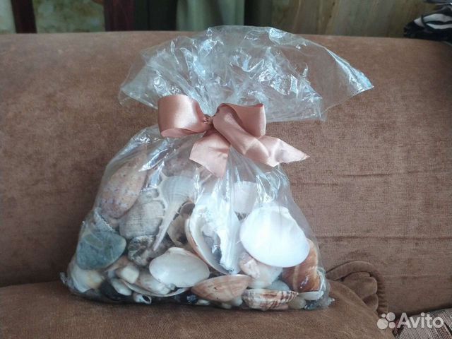 Набор ракушек