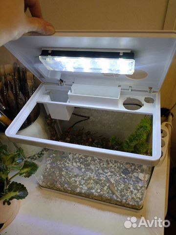 Аквариум 10л