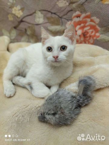 Девочка скромница