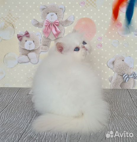 Чудо как хорош
