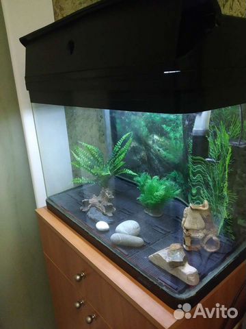 Аквариум jebo, 60 л.,с тумбой