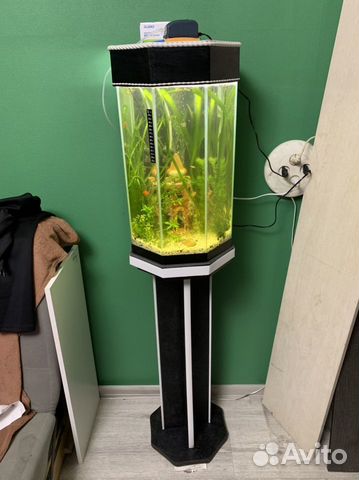 Аквариум восьмигранный