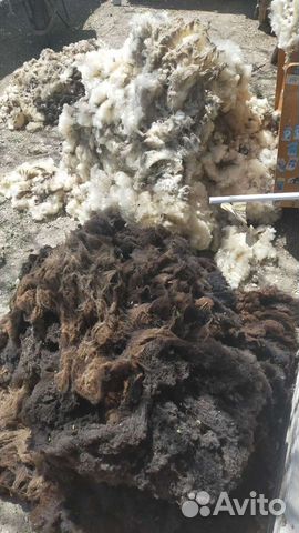 Шерсть овечья