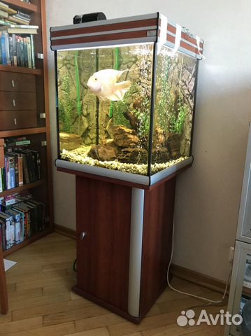 Аквариум